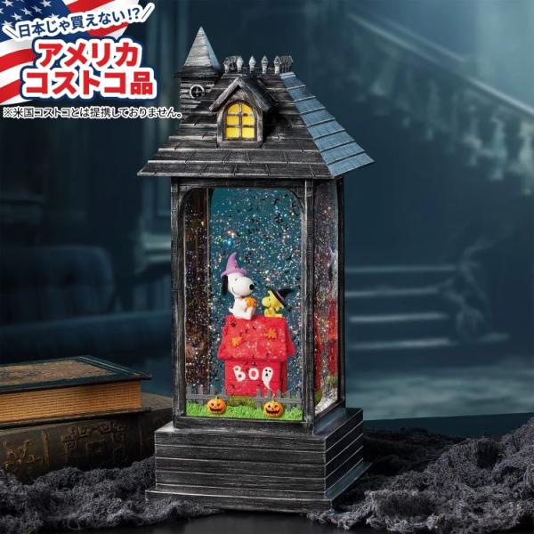 この素晴らしく気まぐれなランタンで雰囲気を盛り上げましょう。恐ろしい音と光がハロウィーンのイベントや装飾に最適な雰囲気を演出します。特徴:照明付き心に残る音楽を奏でるおおよその寸法: 6.0インチ (長さ) x 6.0インチ (幅) x 1...