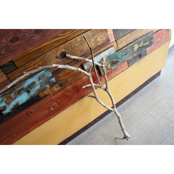 【発売日：2019年02月20日】インテリアの流木オブジェ　玄関、リビングなどの室内装飾としてカフェや店舗のディスプレイ　爬虫類、小動物等の登り木流木は洗浄、乾燥のみで一切の加工などは施しておりません。流木のみの販売となります。その他のもの...