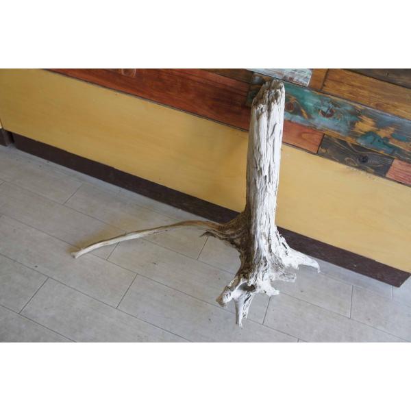 【発売日：2019年05月14日】インテリアの流木オブジェ　玄関、リビングなどの室内装飾としてカフェや店舗のディスプレイ　爬虫類、小動物等の登り木流木は洗浄、乾燥のみで一切の加工などは施しておりません。流木のみの販売となります。その他のもの...