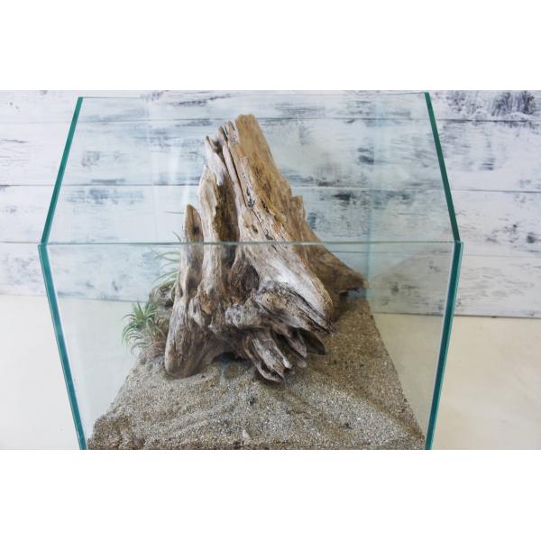 【発売日：2025年09月29日】爬虫類、昆虫の登り木　流木で飼育ケージ、水槽のレイアウトテラリウム、アクアテラリウムなどのディスプレイに本商品は洗浄、煮沸消毒、爬虫類や昆虫用としてあく抜き処理を行っております。※沈下しにくい流木ですのでア...