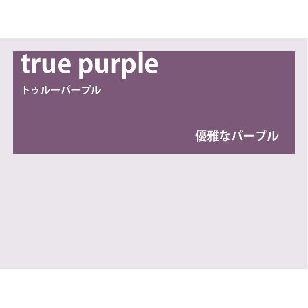 ■品名【オプション】カラーレンズ「トゥルーパープル」＜フルカラー＞■品番（管理番号）LENS-TRPP-F■濃度【10F】10%-視感透過率91％−夜間運転適合【15F】15%-視感透過率86％−夜間運転適合【25F】25%-視感透過率73...