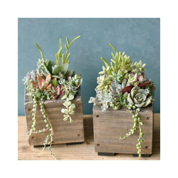 【SPEC】・正方形１型：幅105×奥行105×高さ100ｍｍ【素材】OLD ASHIBA（オールドアシバ）は、元々建築現場で使用されて現役を引退した杉の足場板古材です。廃棄されるものを手間暇かけて再生し、温かみと味わいのある唯一無二の商品...