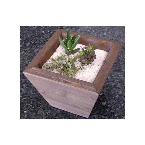 【商品説明】多肉植物の寄せ植え、和の寄せ植えetc...いろいろな植物と相性の良い、スタイリッシュな形状の木製プランターです。【素材・生産】国産杉本社広島県廿日市市の自社工場で一つ一つ手作りで生産【SPEC】外寸：幅21cm×奥行21cm×...