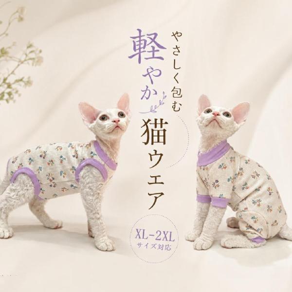 素材 ポリエステル生産国 MADE IN PRCサイズ XS?XXLセット内容 キャットウエア注意 製品更新により、予告なしで同じ商品がデザイン、色若干変わる場合がございますので、予めご了承下さい。撮影の為、画質等の関係上、色などが実際の商...