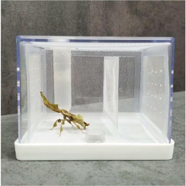 カマキリは脱皮するときに逆さまにぶら下がる習性があるため、這う必要があります。 孵化したばかりのカマキリを飼育し、脱皮して成長していく過程を体験できます。高精細な鑑賞体験：飼育箱は高精細なアクリル素材で作られており、前面にガーゼネットがない...