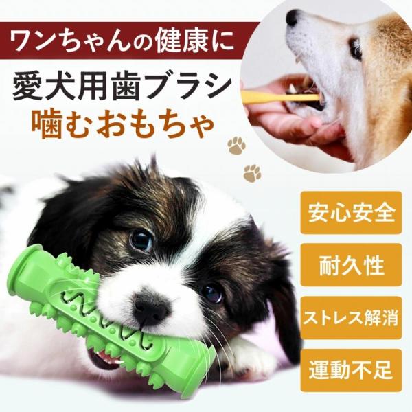 大切なワンちゃんの、健康のために。噛んで歯を磨く、安心安全で耐久性バツグンの歯磨きおもちゃです。歯磨きが苦手なワンちゃんは意外と多いもの。今は平気でも、年令を重ねるにつれてストレスを感じてしまうことも。飼い主さんとの関係性を悪化させること無...