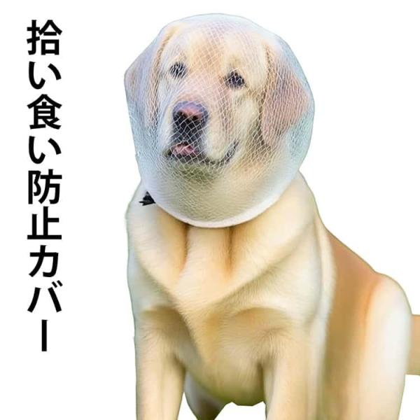 サイズ：25*30cm