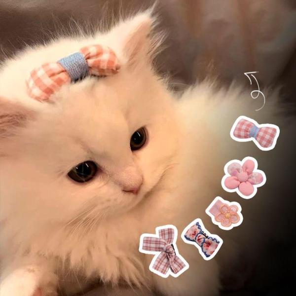 商品名:ヘアピン 5個 ペットヘアピン ペットヘアクリップ ペット用ヘアリボン ペット用髪飾り キッズ 犬 猫 蝶結び 髪飾り 髪留め 軽量 可愛い                            商品説明:ヘアピン キッズ 犬 猫 ...