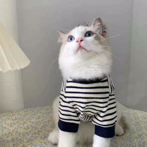 商品名:ペットウェア 猫服 犬服 猫 服 ペット服 キャットウェア ドッグウェア ボーダー柄 カジュアル お洒落 可愛い 薄手 柔らかい 春夏 抜け毛対策 商品説明:猫服 犬服 ペット服 ペットウェア ボーダー柄 サイズ:S M L XL ...