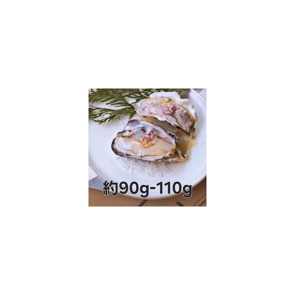 殻剥き不要、播磨灘産の濃厚な生食用オイスター。食べ応えあるサイズで、ぷるっとした食感と海の旨みが口いっぱいに広がります。おすすめポイント殻付きなのに剥く手間なし！ハーフシェルで簡単調理50℃のお湯に4分 → 氷水で1分で、絶品前菜にスプマン...