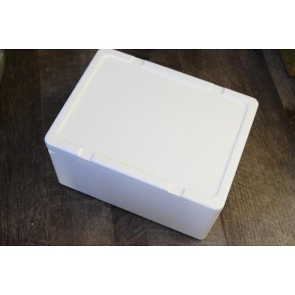 ご注文の際にはこちらの梱包料を一緒にご購入お願いいたします。※生体合計金額￥9800以上で梱包料サービスさせていただいております！