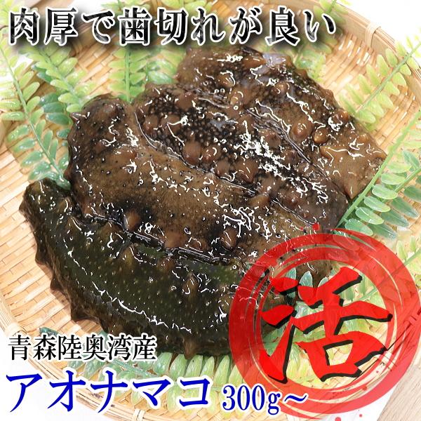 【商品名】青森陸奥湾 活なまこ(青なまこ)【内容量】300g(1個〜3個)、500g(2個〜5個)、1kg(5個〜10個)【発送方法】冷蔵便★専用袋に海水、発泡スチロールに氷を入れて配送。【消費期限】発送日より2日〜4日を目安になるべくお早...