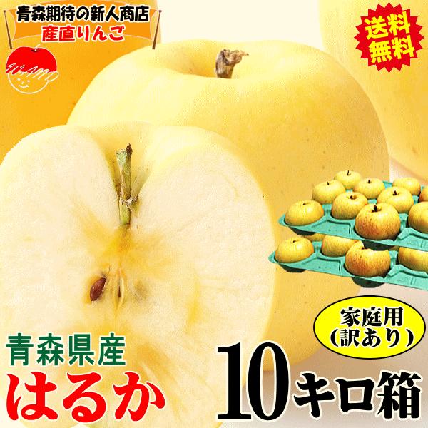 ※商品情報及び商品説明を必ずご確認下さい※（スマホのお客様は下部［もっと見る］をタップ）■品種：青森県産 りんご 10kg箱 はるか■出荷時期：即日発送！その他、3営業日以内発送■規格：ご家庭用/訳あり 生食ＯＫ！■内容量：10キロ箱※モー...