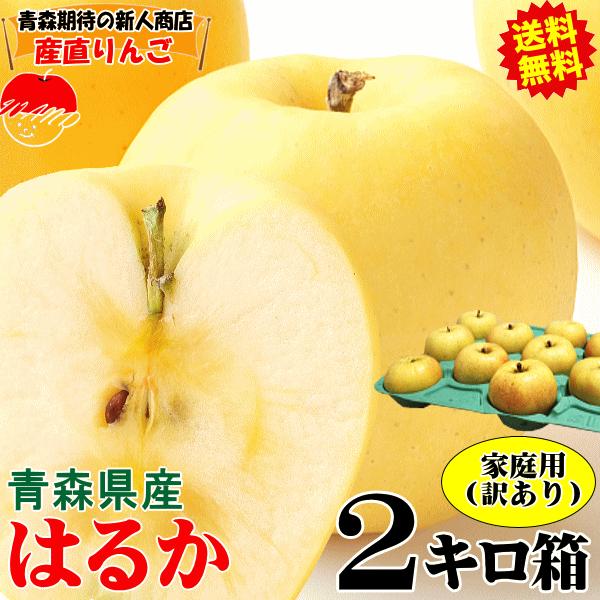 ※商品情報及び商品説明を必ずご確認ください※（スマホのお客様は下部［もっと見る］をタップ）■品種：青森県産 りんご はるか■出荷時期：即日発送！他、3営業日以内発送■規格：ご家庭用/訳あり 生食ＯＫ！■内容量：2キロ箱※モールドパックに並べ...