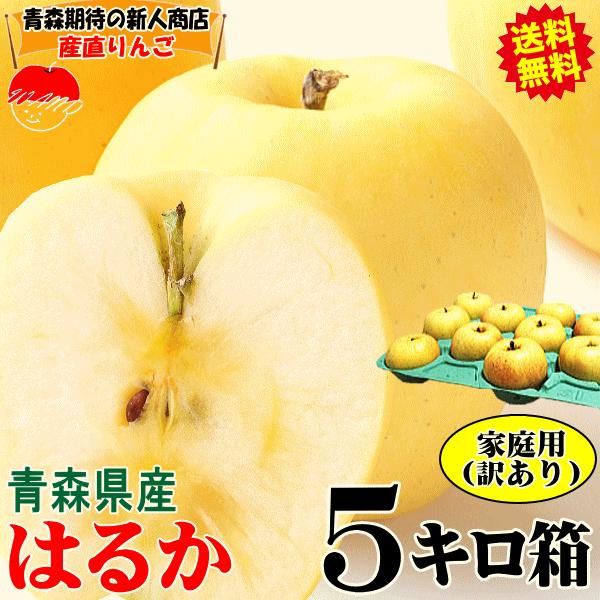 ※商品情報及び商品説明を必ずご確認ください※（スマホのお客様は下部［もっと見る］をタップ）■品種：青森県産 りんご 5kg箱 はるか■出荷時期：即日発送！他、3営業日以内発送■規格：ご家庭用/訳あり 生食ＯＫ！■内容量：5キロ箱※モールドパ...