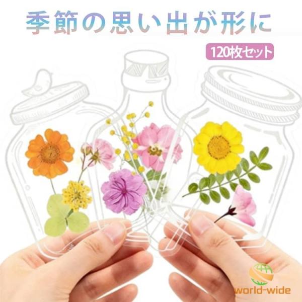 商品名:120枚入り しおり ブックマーク シール 透明 クリアシール ボトル型 ステッカー 植物標本 花瓶 ドライフラワー 押し花 手帳デコ 手帳シール DIY ハンドメイド素材 透明ステッカー 手作りしおり デコレーション送料無料   ...