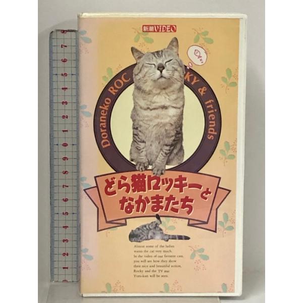 ポストカード3枚・ソフト・ケースのセット販売です。その他の付属品はないものとご理解下さい。ケースにスレ、ヤケ、シミ、ポストカードにヤケ、多少のシミ、があります。※注意事項※■付録等の付属品がある商品の場合、記載されていない物は『付属なし』と...