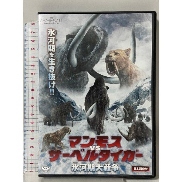 発売元は「株式会社竹書房」です。ディスク・ケースのセット販売です。その他の付属品はないものとご理解下さい。盤面に小スレ、ケースにスレ、があります。※注意事項※■付録等の付属品がある商品の場合、記載されていない物は『付属なし』とご理解下さい。