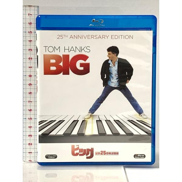 発売元は「20世紀フォックスホームエンターテインメント」です。ディスク・ケースのセット販売です。その他の付属品はないもとのご理解下さい。盤面は良好です。ケースにスレ、ジャケットにヤケ、があります。※注意事項※■付録等の付属品がある商品の場合...
