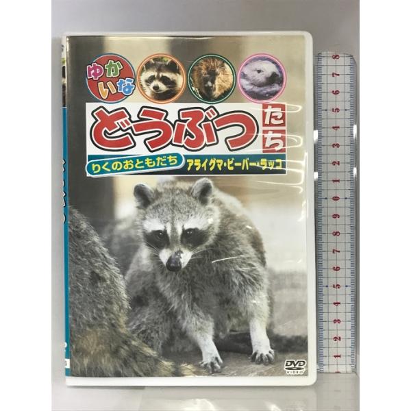 ジャケット付き。ジャケットケースにスレ、ヨレ、小汚れ、盤面にスレ、があります。※注意事項※■付録等の付属品がある商品の場合、記載されていない物は『付属なし』とご理解下さい。 ポイント消化 にご利用ください。