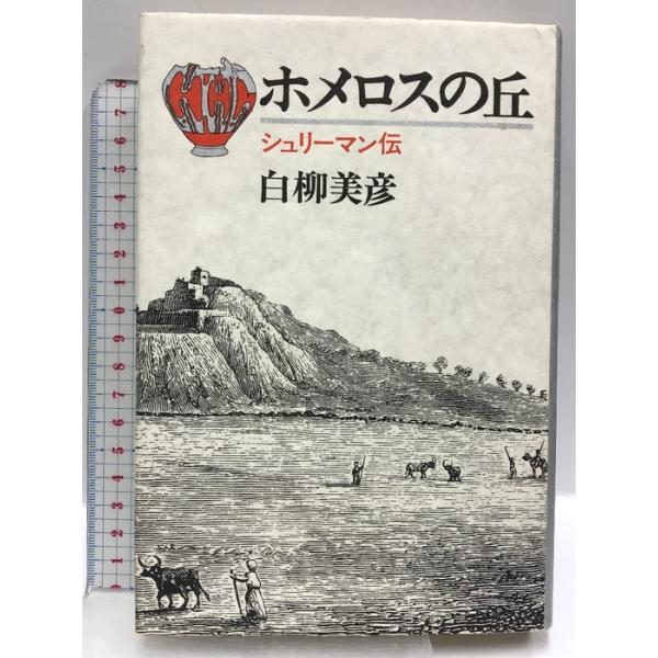 本にスレ、ヨレ、ヤケ、シミ、傷み、天地小口にヤケ、スレ、シミ、本に多少の開き、見返しに剥し跡、があります。本を読むことに支障はございません。※注意事項※■商品・状態はコンディションガイドラインに基づき、判断・出品されております。■付録等の付...
