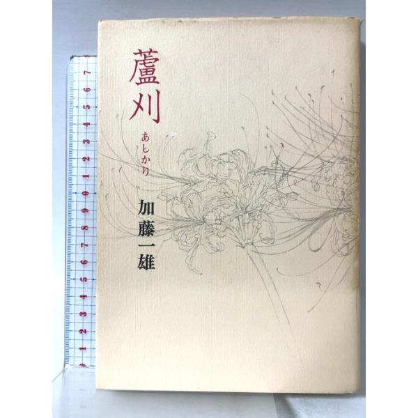 表紙にスレ、ヨレ、ヤケ、傷み、天地小口にスレ、ヤケ、本に書き込み、があります。本を読むことに支障はございません。※注意事項※■商品・状態はコンディションガイドラインに基づき、判断・出品されております。■付録等の付属品がある商品の場合、記載さ...