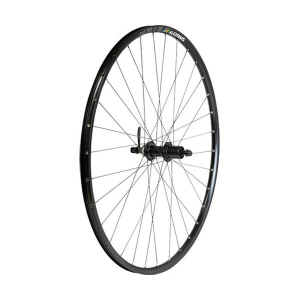 沖縄県への発送に送料無料は適用されません。購入金額に関わらず通常送料に別途加算されます。  アレックスMD19 リムにシマノTY505 センターロック ディスクハブを組み合わせたディスクブレーキ専用 700C ホイール。 クロスバイクに最適...