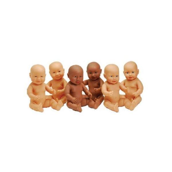 【商品名】Anatomically Correct Dolls Set of 6 ドール 人形 フィギュア【カテゴリー】フィギュア