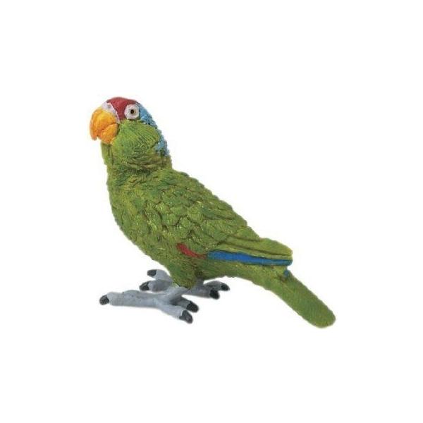 【商品名】Safari Ltd Wings of the World Green-Cheeked Amazon Parr フィギュア おもちゃ 人形 【カテゴリー】フィギュア