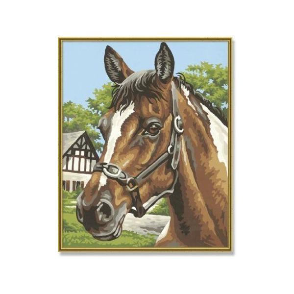 【商品名】Schipper 9240 381 - Painting by Number, Horse Portrait, 24x30 cm フィギュア おもちゃ 人形 【カテゴリー】フィギュア