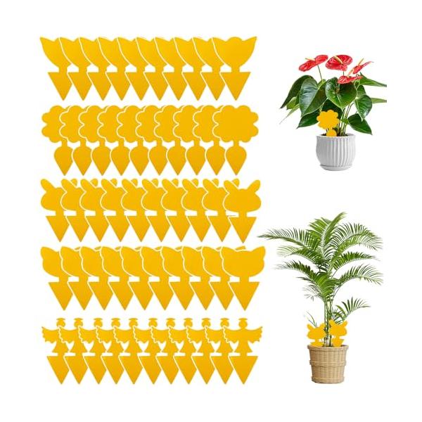 ※多くのお客様に可能な限り最短で配送するためにも、置き配での配送にご理解・ご了承願います。※複数の商品をご注文頂けた場合、発送するの兼ね合いから複数個口となり、別々のでのお届けとなる場合がございますこと、ご承知願います。【商品名】　昆虫トラ...