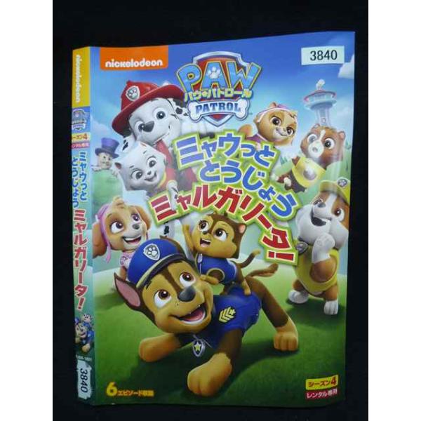 レンタル落ち レンタル落 レンタルアップ 潘めぐみ 石上静香 小市眞琴 井澤詩織 ジェイミー ウィットニー newitem