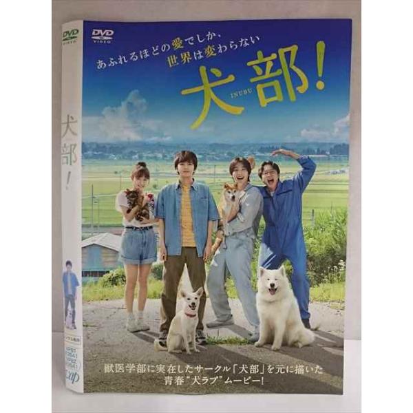 レンタル落ち レンタル落 レンタルアップ 林遣都 中川大志 大原櫻子 浅香航大 篠原哲雄 newitem