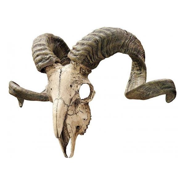 【商品名】コルシカラム 頭骨オブジェ コルシカ島 雄羊の 頭蓋骨と角 壁掛け 彫像/Design Toscano Corsican Ram Sku 【カテゴリー】ホーム・キッチン : 彫像
