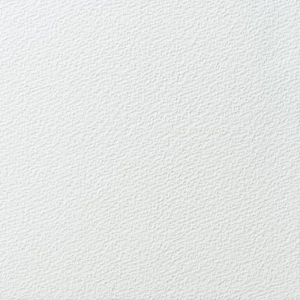 マルマン画用紙では最も厚く、手軽に使える画材紙として支持されています。表面はソフトで、シボ（表面の凹凸）が程よくでています。吸水性がよく絵具の乾きも早いため、学校での授業など比較的短い時間で仕上げる水彩画にも使うことが出来ます。通常の画用紙...