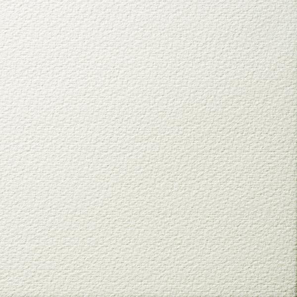 ヴィフアール水彩紙は「手軽に水彩を楽しんでいただきたい」との思いから、初心者にも手が届きやすい良質で安価な国産水彩紙として開発されました。ナチュラルな紙色なので、自然な風合いの作品に仕上がります。消しゴムでこすったり、水を使っても劣化しない...