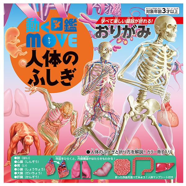『動く図鑑 MOVE』シリーズのおりがみが登場！ 大迫力のイラストが入ったおりがみと大迫力のミニ図鑑がセットになったおりがみです。臓器を折って人体シート（背景シート）にならべてみよう！7種類の臓器各1体とカラー冊子がセットになっています。【...