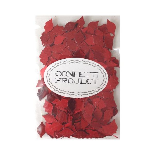 キラキラスパンコール素材の紙吹雪です。パーティーシーンでの使用はもちろん、スクラップブッキングやカードメイキング、ラッピングなど使い方色々です。●パッケージサイズ：100×75mm●重量：約14g