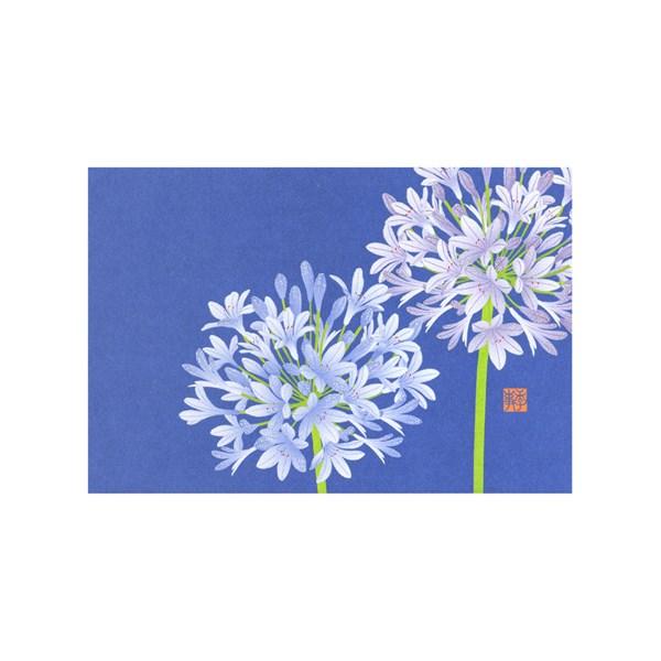 爽やかな花や葉の彩り「紙シリーズ」初夏四季を美しく彩る「紙シリーズ」から、初夏にぴったりのアイテムが登場。夏の風物詩をモチーフにした美しいポストカードです。暑中見舞いや、お中元の返礼状などにお使いいただけます。≪やさしい肌合いの「越前和紙」...