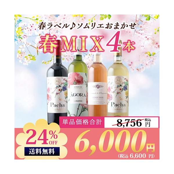 倉庫移転アウトレットSALE！〜3/26（木）11:59まで【SET-MIX】【SET-4】【母の日】【父の日】【プレゼント】【ギフト】【バーベキュー】【お中元】【ポイント利用】