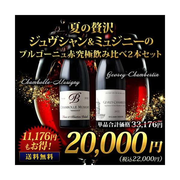 お家で涼やか　ワイン・ガーデン限定　〜7/27(月)11:59【T-RE】【SET-2】【母の日】【父の日】【プレゼント】【ギフト】【バーベキュー】【お中元】【ポイント利用】