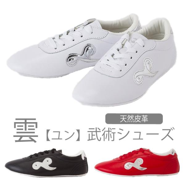 キーワード：太極拳 カンフー 武術 中国武術 ウーシュウ 長拳 気功 ダンス ヨガ スポーツ よさこい Yosakoi コスプレ 呉式 楊式 孫式 武当 陳式 武式 24式 32式 42式 48式 総合 南拳 伝統拳 カンフー体操 入門長拳...