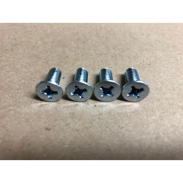 VISTスノーボードプレートをボードに取り付けるためのマウントビスです。製品に付属のビスは年式やロットにより六角ビスやプラスビスが混在しますが、こちらはプラスドライバーを使用するプラスビスとなります。1パック4本入りでの販売です。六角ビスは...