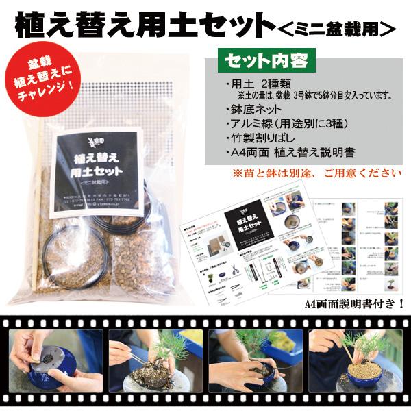 【商品説明】植え替え用土セット（ミニ盆栽用）当店オリジナルの植え替え用土セット、ミニ盆栽用です。ミニ盆栽の植え替えをスムーズに行うための、便利で実用的なセットです。（※苗と鉢はお好きなものを別途ご準備ください。）『どんな土が良いのかなぁ』『...