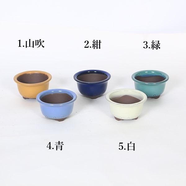 商品説明鉢：国産正方鉢　10ｃｍ（2146）*資材鉢径：8.7cm　高さ：5.0cm日本製鉢　色物鉢※こちらは数量物となっております。※ご希望の色をお選び下さい。＊数量物の為、若干の色の違い(色むら)があります。