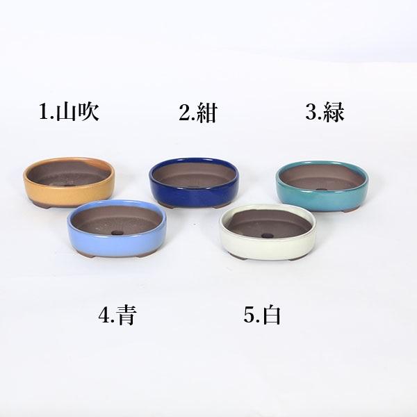 商品説明鉢：国産楕円鉢(浅)　10.5ｃｍ(1953v)*資材鉢径：10.5cm　奥行：9.0cm　高さ：3.0cm日本製鉢　色物鉢※こちらは数量物となっております。※ご希望の色をお選び下さい。＊数量物の為、若干の色の違い(色むら)があります。