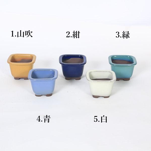 商品説明鉢：国産正方鉢　7.5ｃｍ（1957v）*資材鉢径：7.5cm　高さ：5.2cm日本製鉢　色物鉢※こちらは数量物となっております。※ご希望の色をお選び下さい。＊数量物の為、若干の色の違い(色むら)があります。