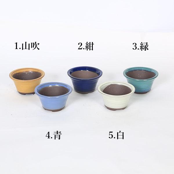 商品説明国産鉢：丸ソリ鉢　8.7ｃｍ（1958v）*資材鉢径：8.7cm　高さ：4.3cm日本製鉢　色物鉢※こちらは数量物となっております。※ご希望の色をお選び下さい。＊数量物の為、若干の色の違い(色むら)があります。