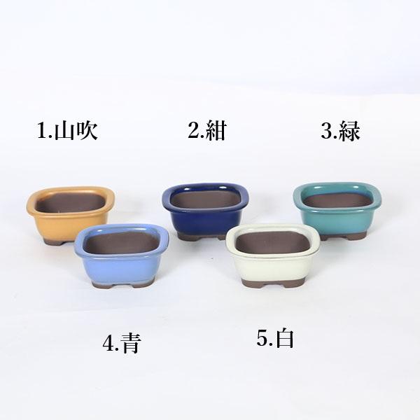 商品説明国産鉢：長方鉢　10ｃｍ（1959v）*資材鉢径：10cm　奥行：8.5ｃｍ　高さ：4.5cm日本製鉢　色物鉢※こちらは数量物となっております。※ご希望の色をお選び下さい。＊数量物の為、若干の色の違い(色むら)があります。