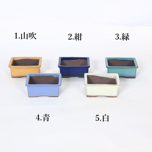商品説明鉢：国産長方鉢　9.5ｃｍ（1961v）*資材鉢径：9.5cm　奥行：7.8ｃｍ　高さ：4.0cm日本製鉢　色物鉢※こちらは数量物となっております。※ご希望の色をお選び下さい。＊数量物の為、若干の色の違い(色むら)があります。